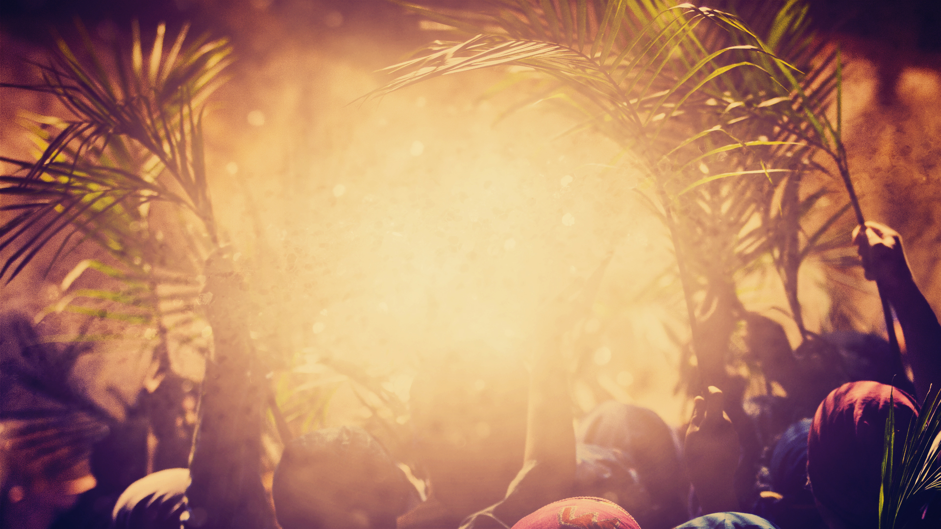 The Triumphal Entry (P&P) – Wesley Tidings