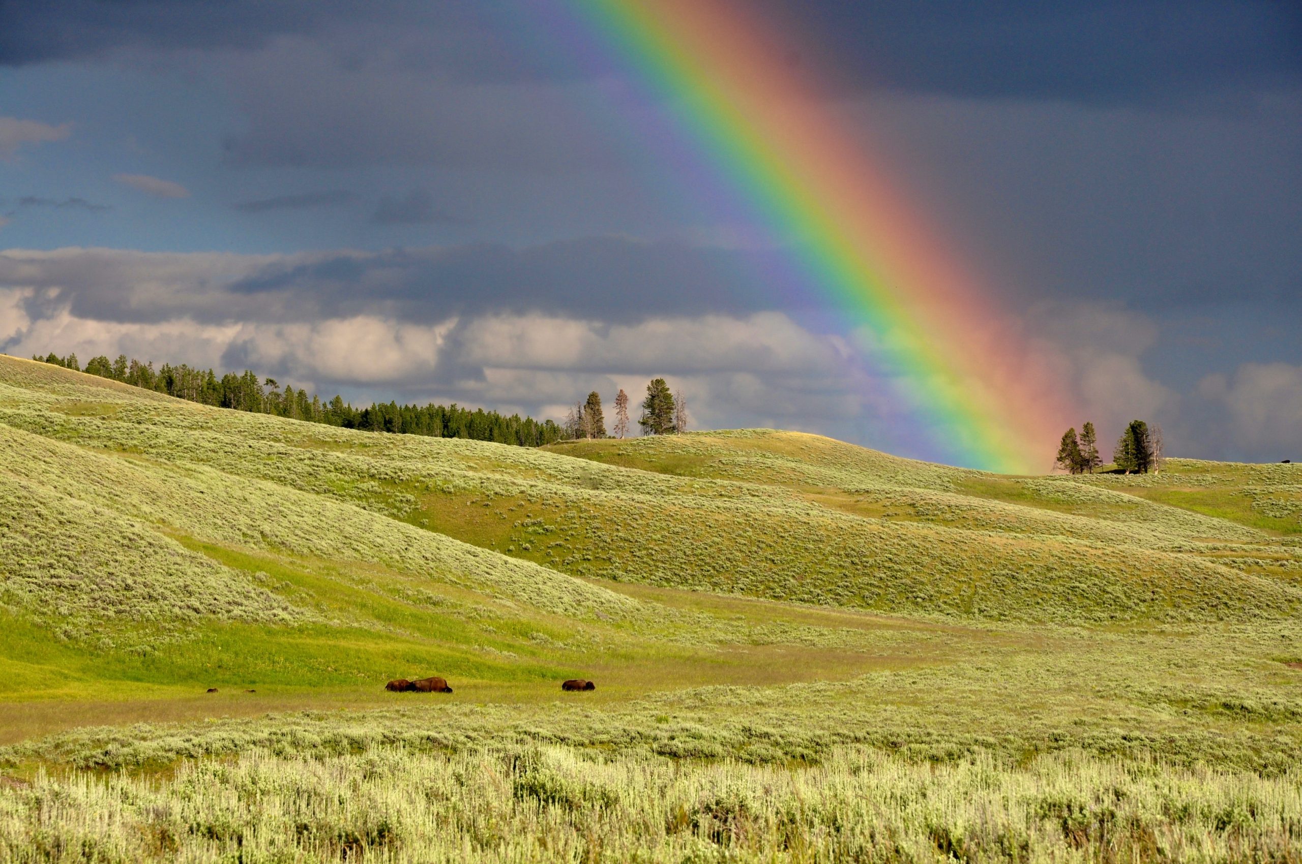 9 November 2022 – How Are You Responding To Grace? – Wesley Tidings